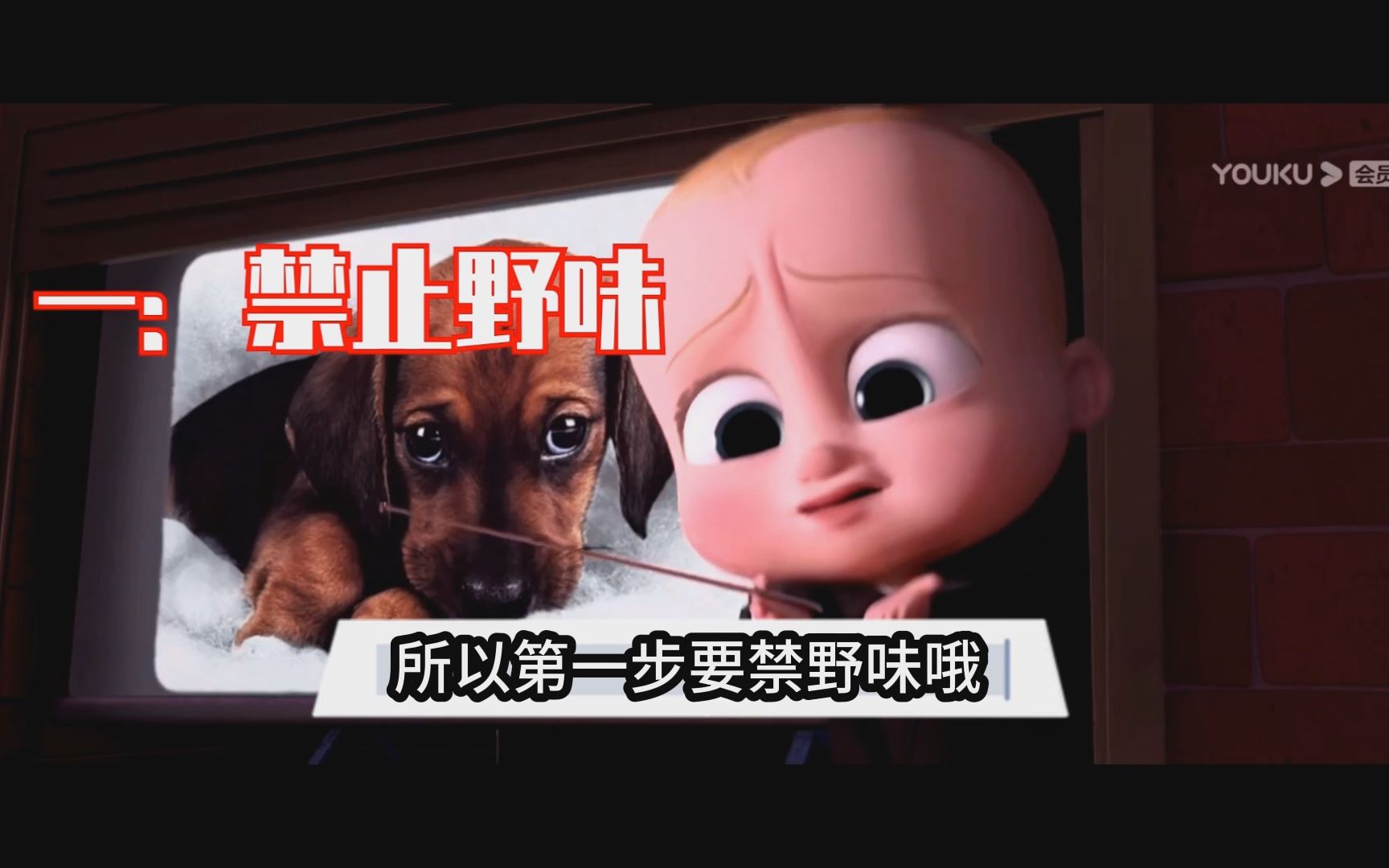 新冠病毒的英文自我介绍 the story of coronavirus浅显易懂