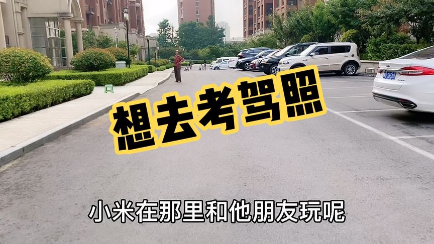 在纠结到底考自动挡的还是考手动挡的,考驾照是不是很难