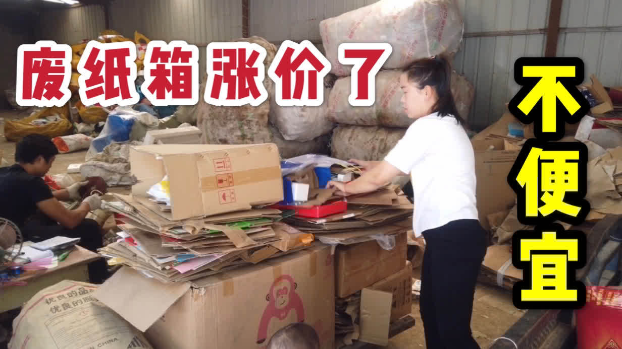 废纸箱有多贵?收废品小哥告诉你真实价格,两车看看卖了多少钱?