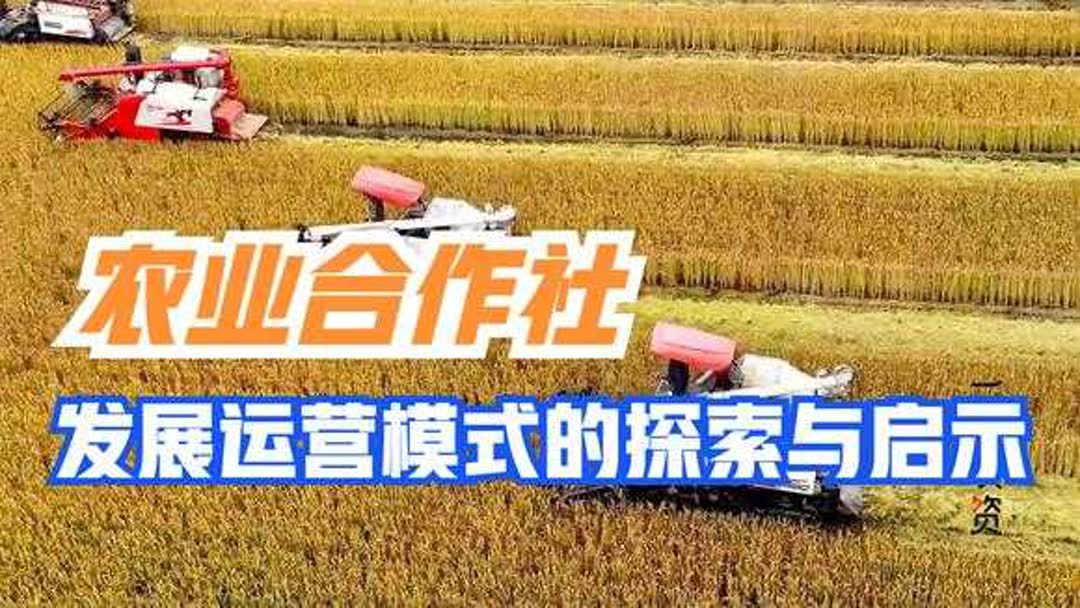 农业合作社的发展运营模式的探索与启示