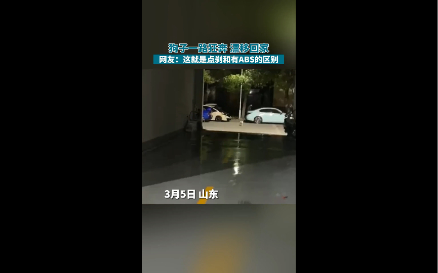 网友:第一只飘移过弯,实力碾压一众单身狗!#漂移过弯