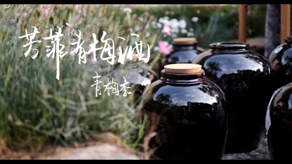 【酿青梅酒】村民们迎接夏天的仪式#青梅##青梅季#