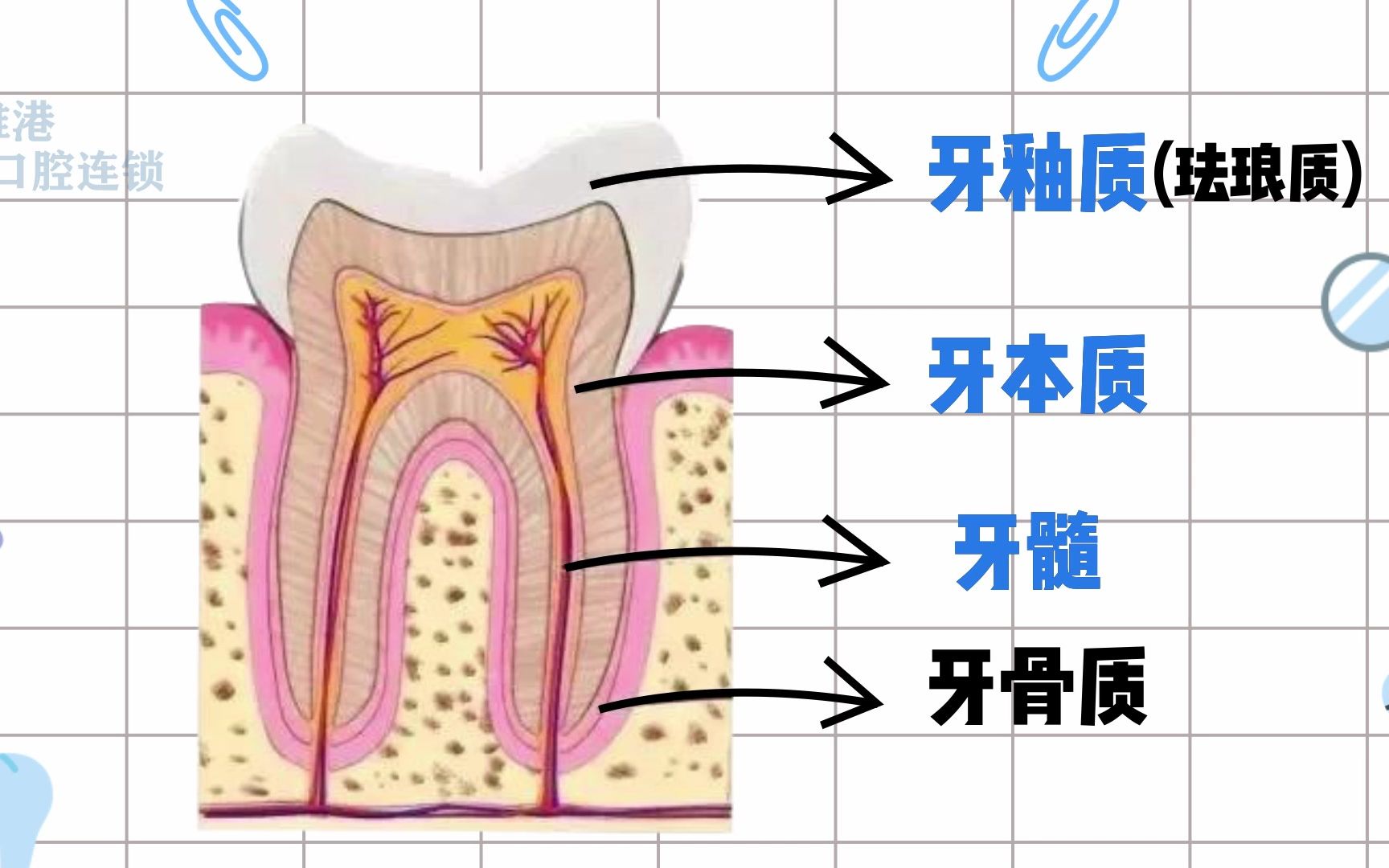 【深圳补牙科普】补牙跑了三四趟,补牙竟然这么麻烦?