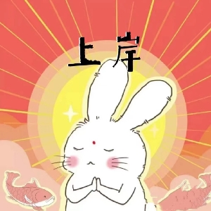 小凡学姐学会计 