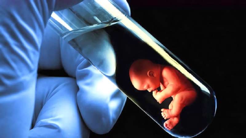 试管婴儿有多疼?3D动画模拟全过程,妈妈真伟大!