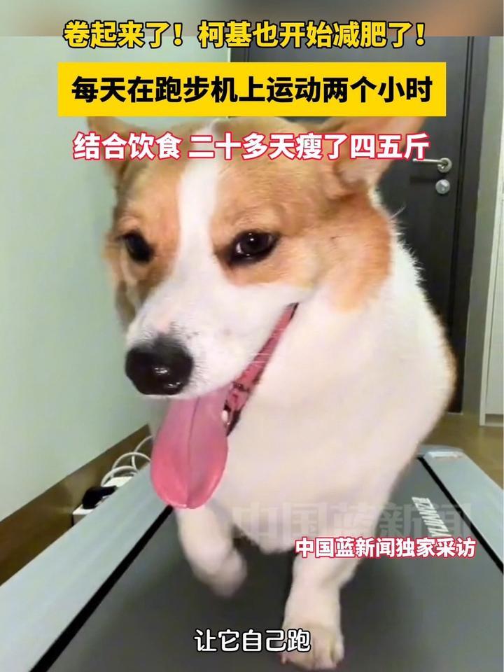 ...每天在跑步机上运动两个小时,结合饮食,二十多天瘦了四五斤。(来源...