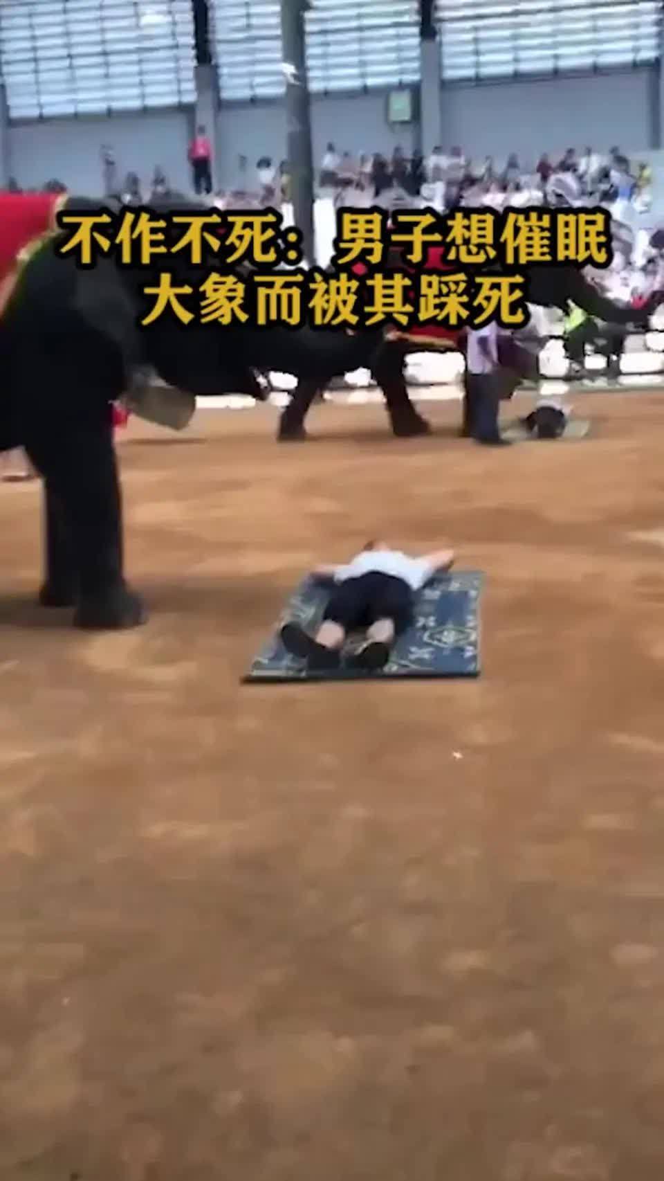 不作不死,男子想催眠大象而被其踩死