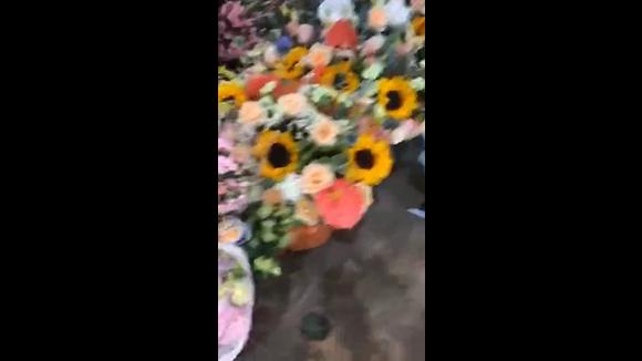 鲜花销售火爆 绣球葵花红掌最受欢迎