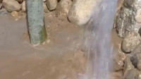 我市举行第41个植树节宣传活动