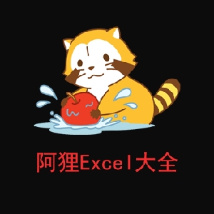 阿狸Excel大全 