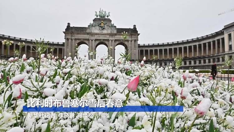 比利时布鲁塞尔五十周年纪念公园的雪后春意