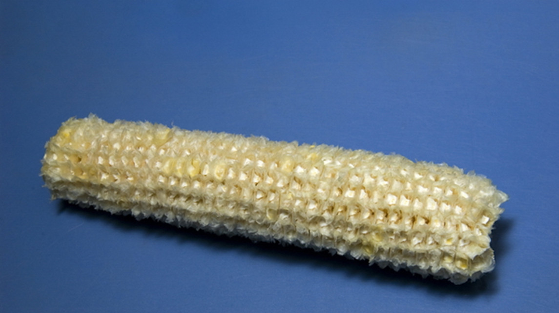 今天才发现,玉米芯还是个“宝”,用途真是太棒了!早点学会早好