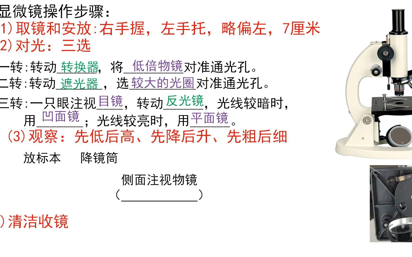 北京生物小中考06 显微镜的结构与功能