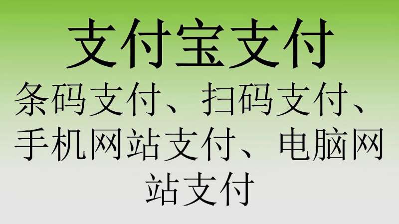支付宝支付_手机网站支付_效果展示