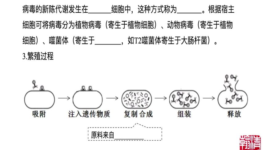 人教版 高中一轮复习生物 第一讲 走进细胞 3