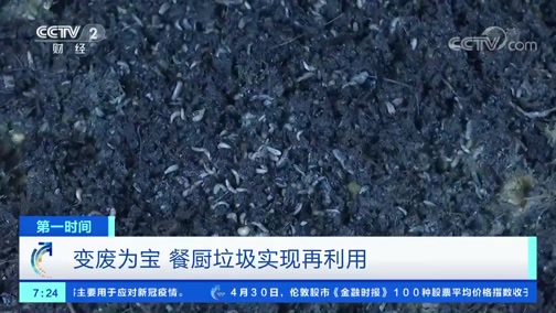 [第一时间]变废为宝 餐厨垃圾实现再利用