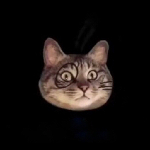 爱喝咖啡的猫叔叔 