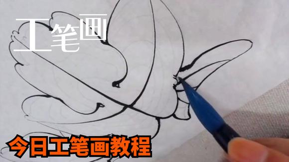 工笔画入门教程:线稿画好不知怎么上色?老师示范教你画,快学习