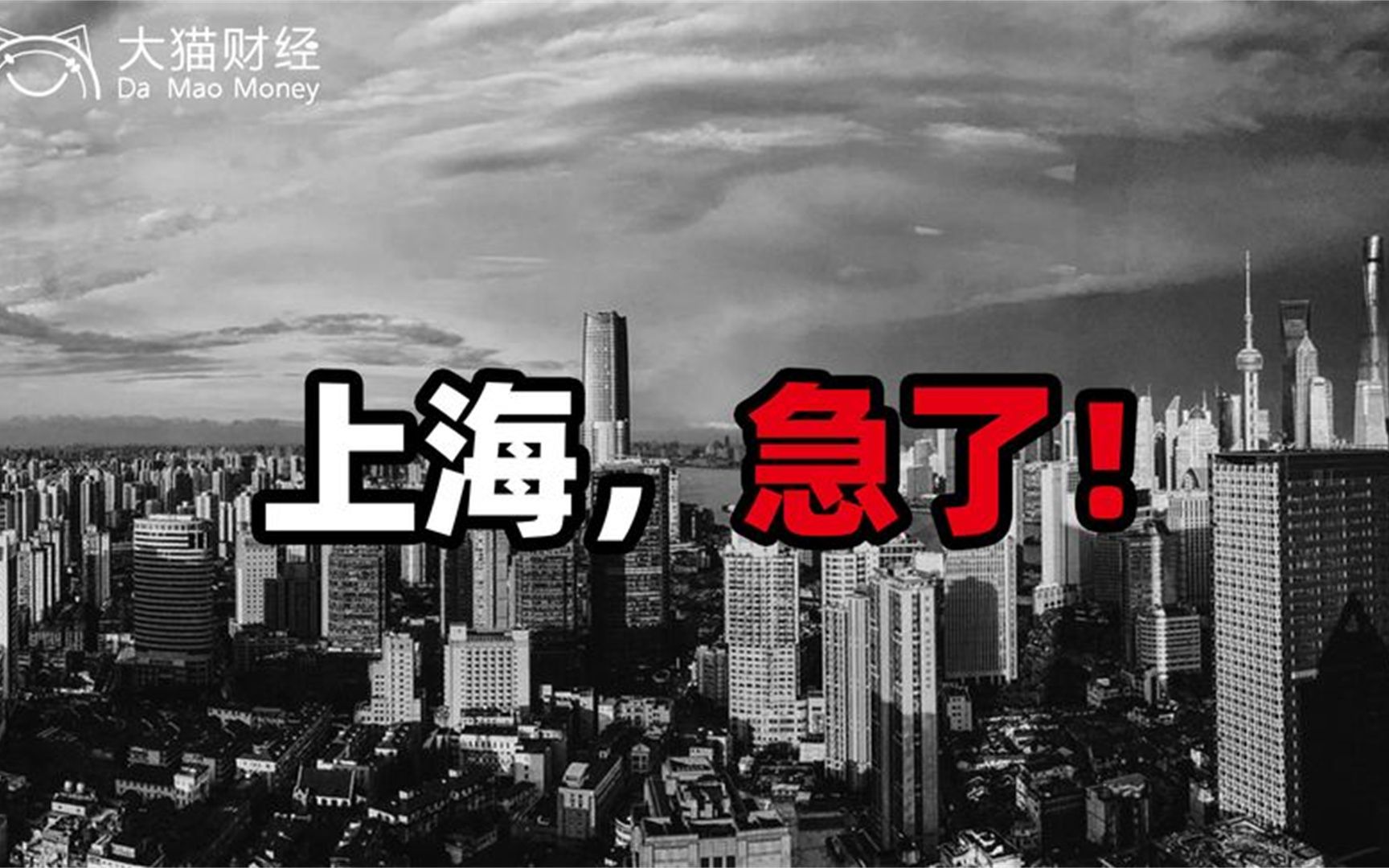 上海1854家“白名单”公司背后,到底藏了哪些关键信息?