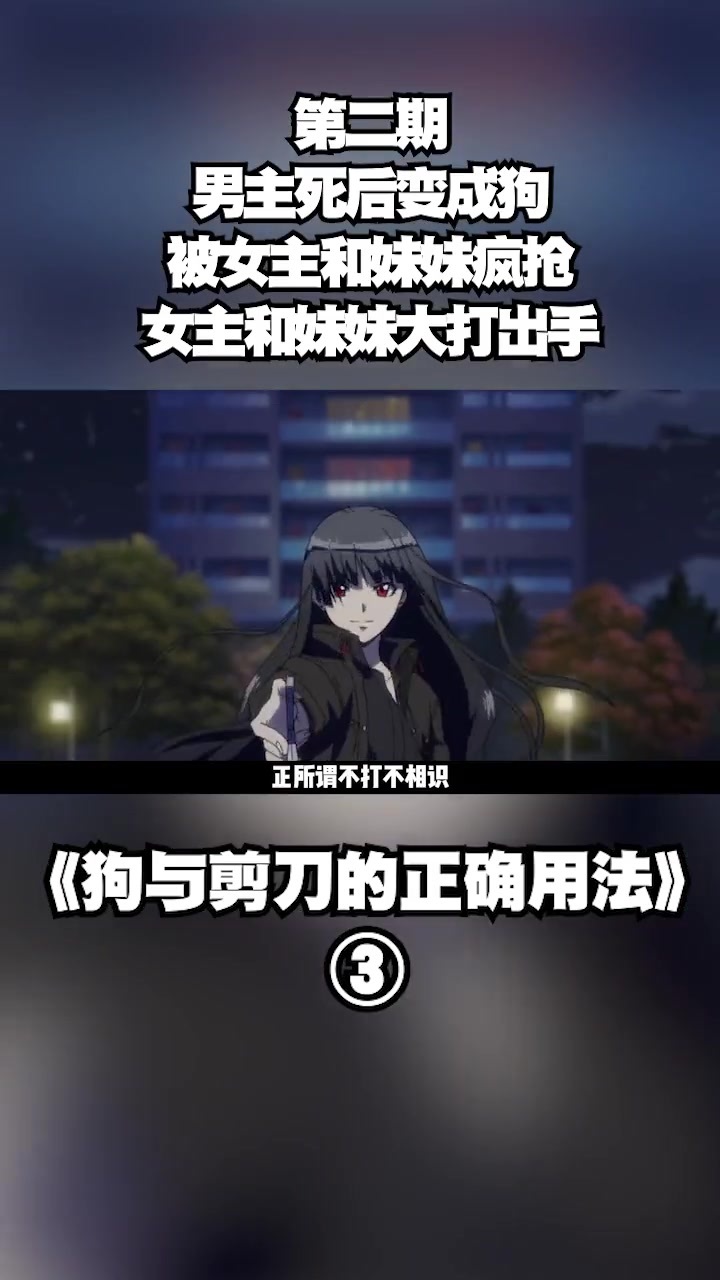 狗与剪刀的正确用法6集|男主死后变成狗被女主和妹妹疯抢