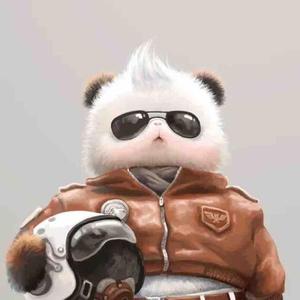 铁头张三 