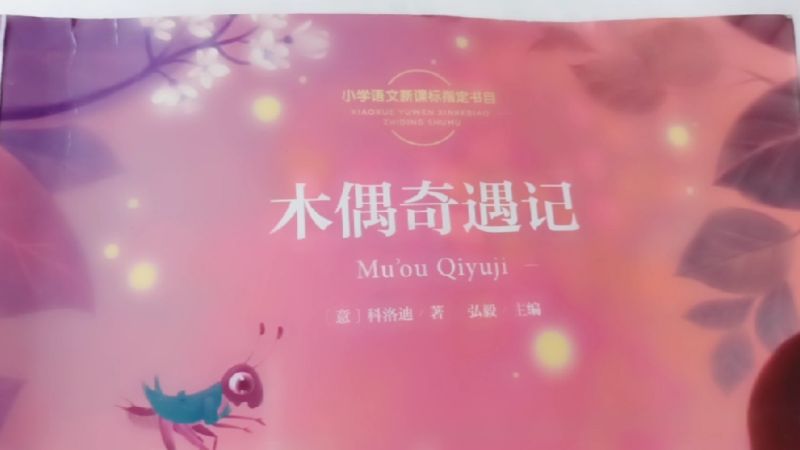 亲子阅读:小学语文新课标指定数目《木偶奇遇记》