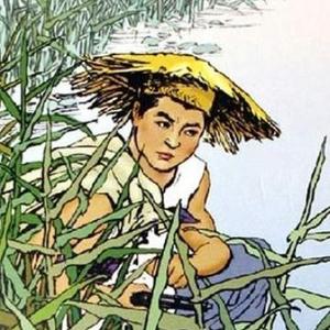 支昂张 