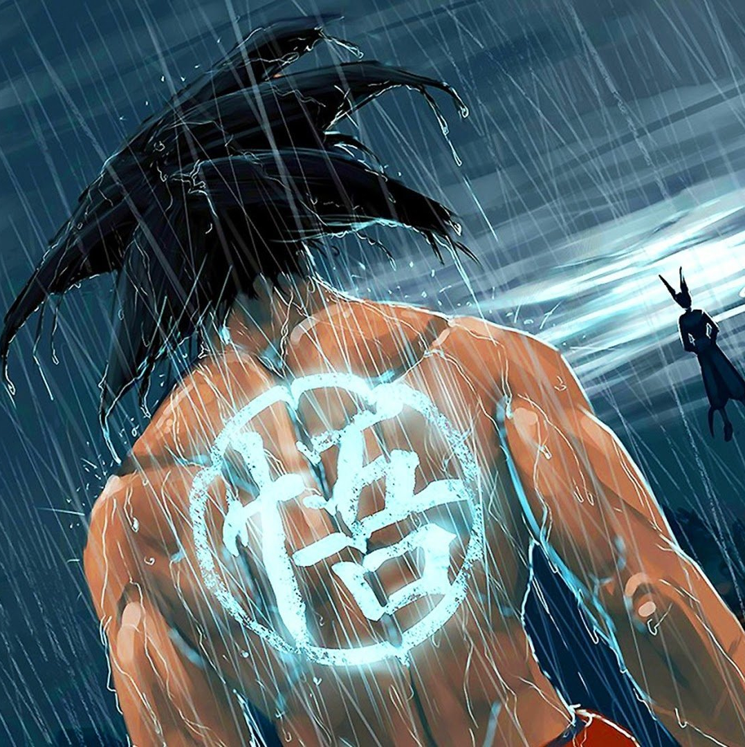 银翼闪亮亮 