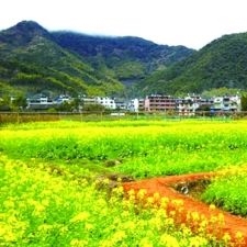 五彩斑斓影视界 