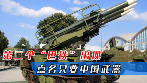 和俄罗斯中断合作,点名购买中国武器,愿将领空交给我国保护