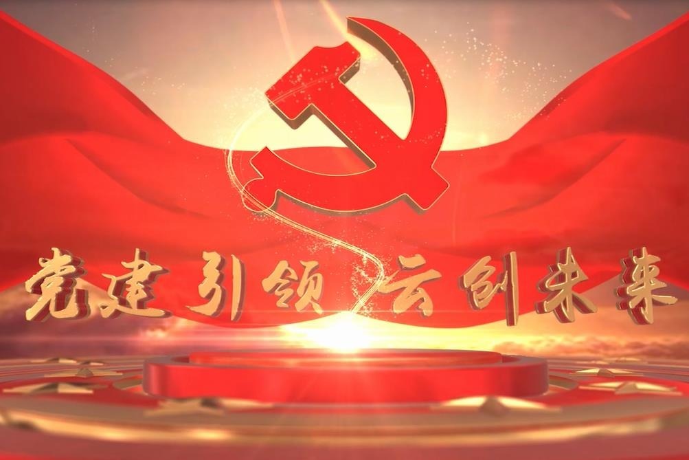 海南省税务局互联网+党建专题汇报片