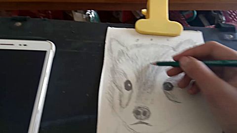 素描简单可爱小狗狗(怎么这么像狐狸?)