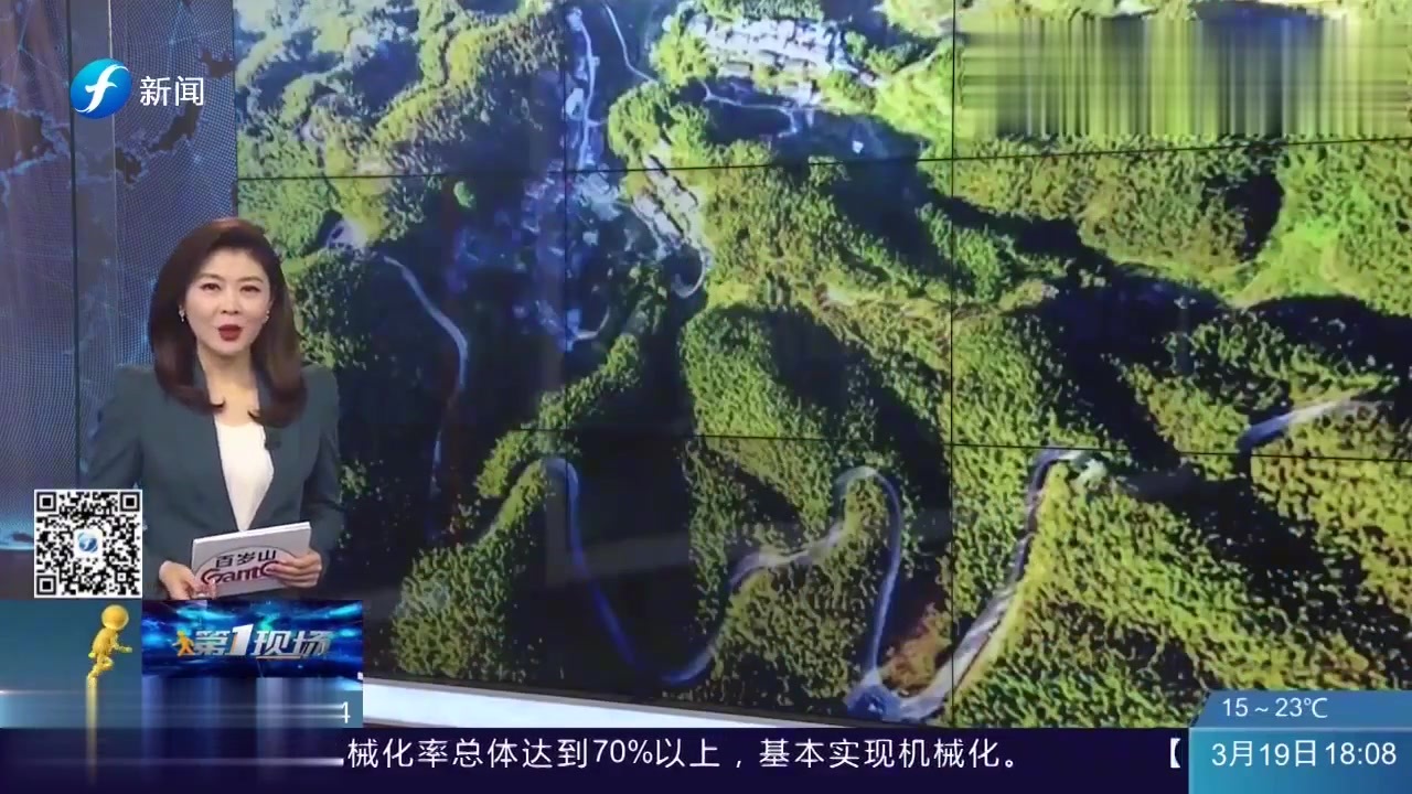 福建位居首位!国家2022年林长制考核,12个省份被认定优秀