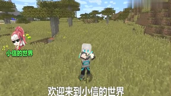 我的世界:小信加上这个指令,连凋零都变成了挖掘机!