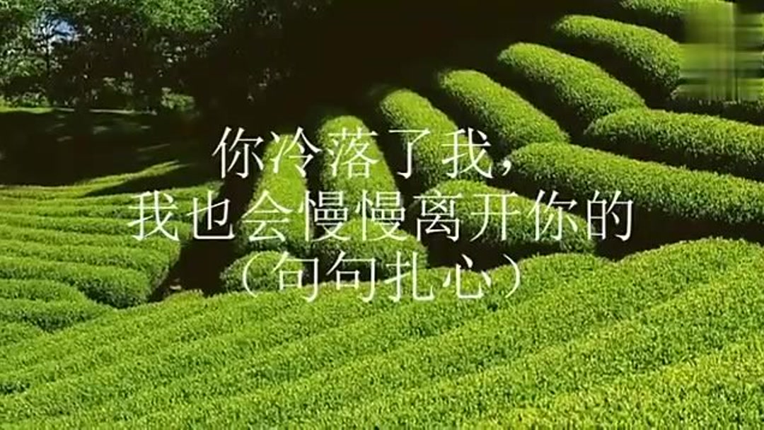 华阴老腔艺人现场表演皮影戏《三英战吕布》片段,令观众大呼过瘾