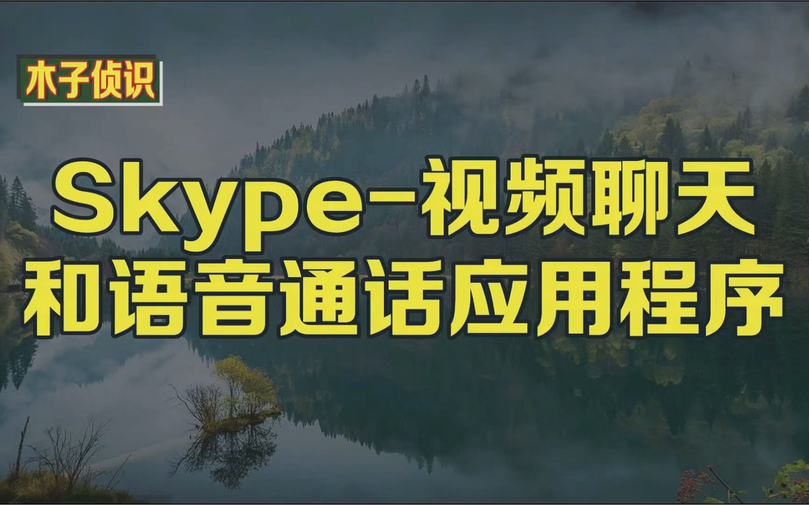 视频聊天和语音通话应用程序.