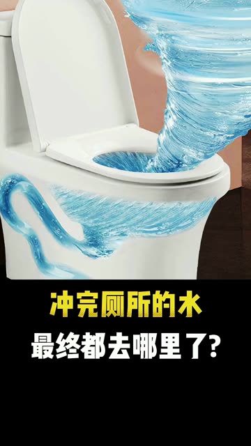 探寻冲厕之水的奇幻旅程