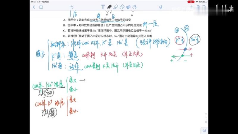 「瘦瘦老师零食包」神经调节 静息电位与动作电位的成因、电位变化...
