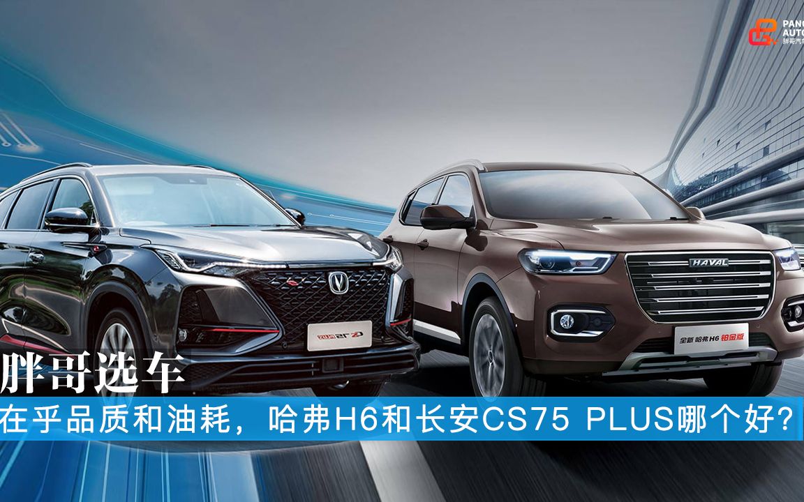 胖哥选车 注重品质和油耗 哈弗H6和CS75 PLUS哪个好?