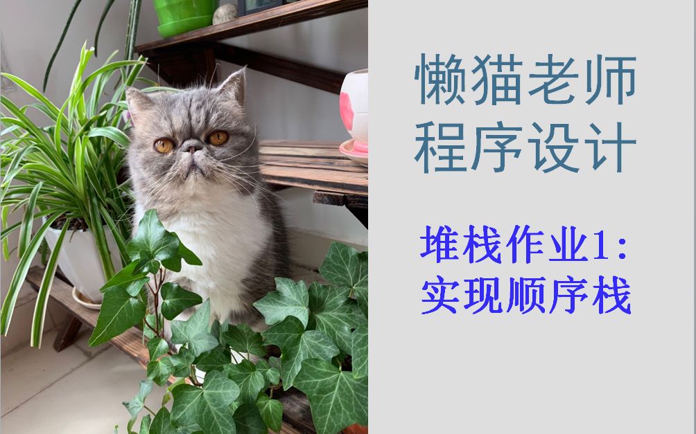 懒猫老师-数据结构-(2)堆栈作业1:实现顺序栈