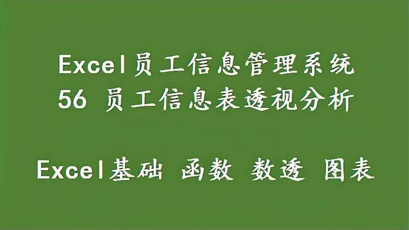员工信息管理系统 56 员工信息表透视分析