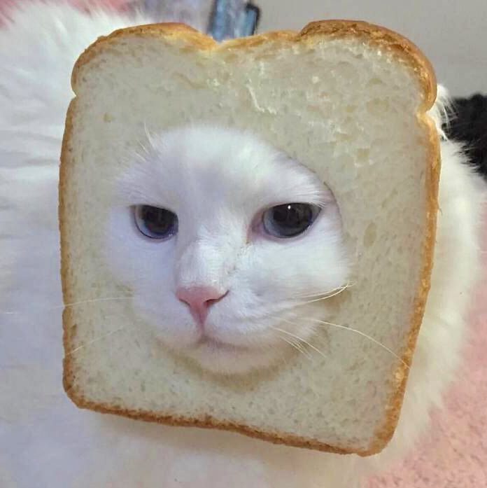 爱吃软糖的姐姐 