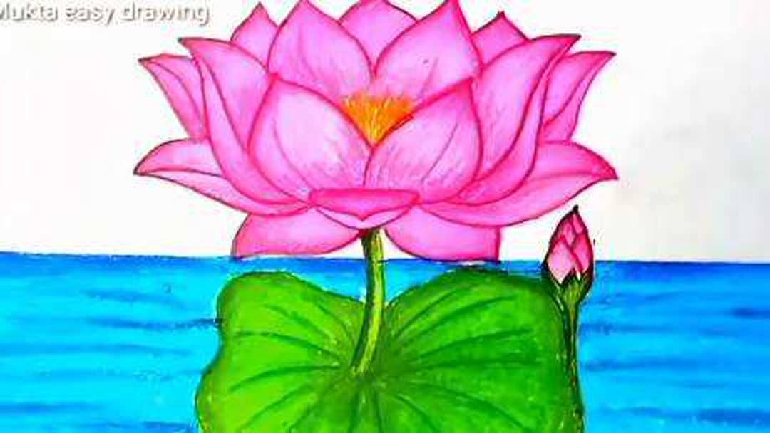 学画画,彩铅《荷花》简笔画几分钟就能学会的简单画法!
