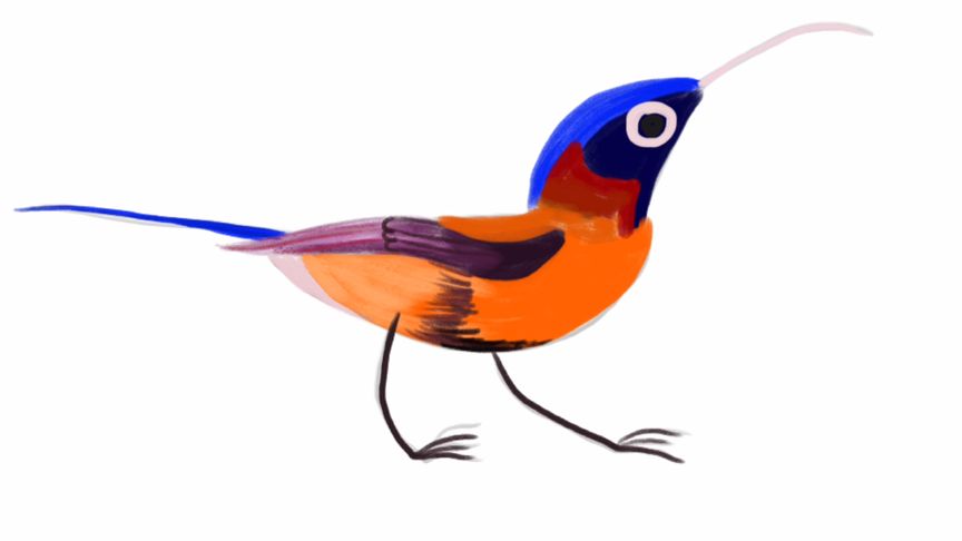 ps插画过程分享如何用几何概括复杂的动物形体