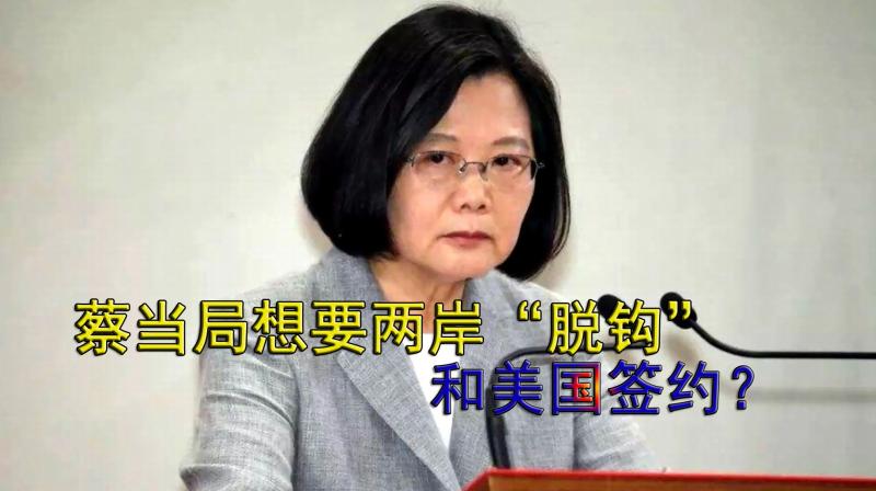 蔡当局想两岸“脱钩”和美国签约?台专家:这会剥台湾好几层皮