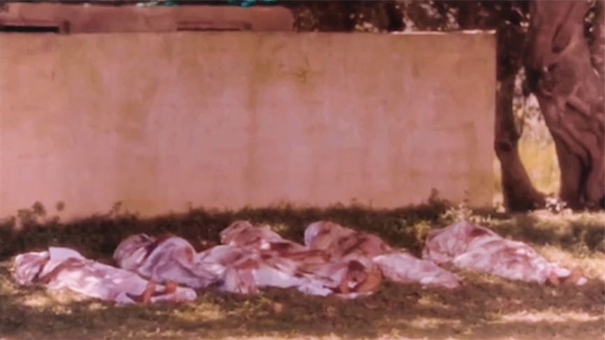 全球最恐怖的病毒,致死率竟高达90%