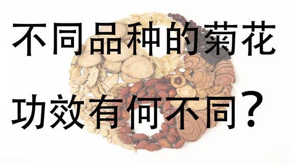 野菊、黄菊、白菊,不同种类的菊花功效有何区别?泡茶选哪种?