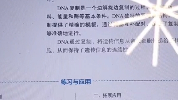 减数分裂与受精作用1