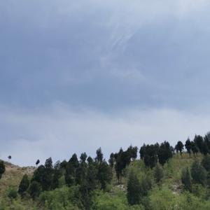 优雅青山vd 
