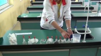 实验11-学会使用酸碱指示剂和pH试纸的使用
